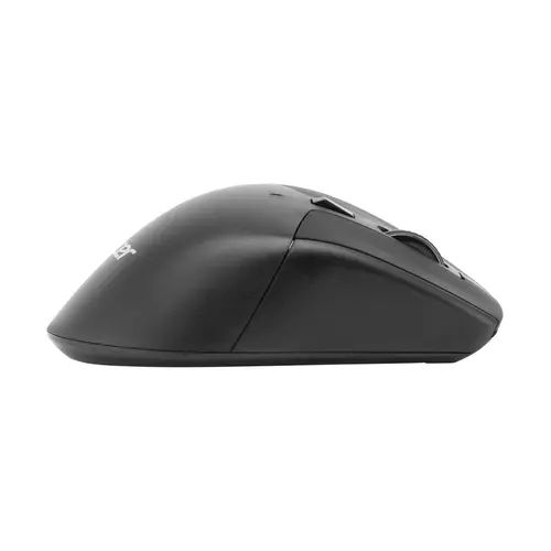 Купить беспроводная мышь acer omr150 black в Волгограде, Астрахани и ...